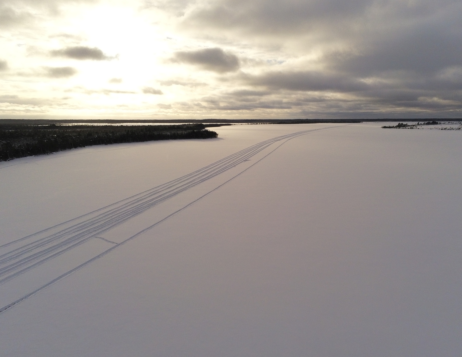 Tõnu Ploompuu: maakeelepäeva järelmõtted - Objektiiv