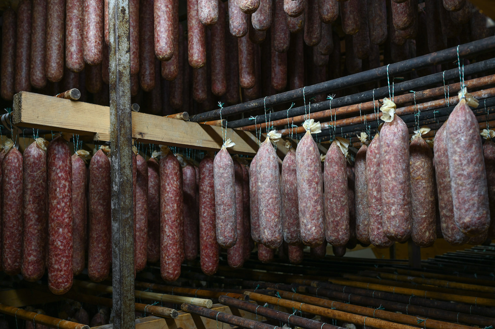 Itaalia keelustab täielikult sünteetilise laboritoidu - Objektiiv